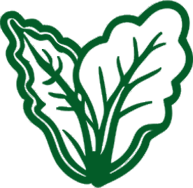 Home - Verdant Veggies
